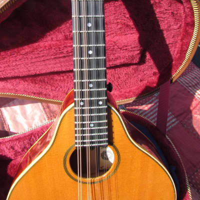 Beard Instruments Celtic mandolin #28 2010-2020 - Gloss | Reverb