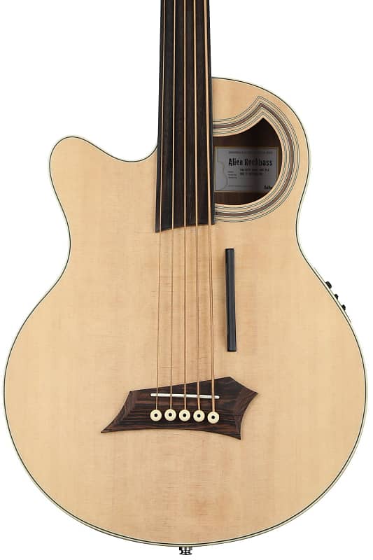 Warwick RockBass Alien Deluxe 5-string Fretless Left-handed | Reverb