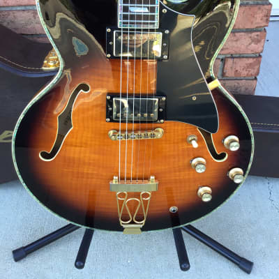 Peerless Renaissance Custom Hollowbody with Hard Case | Reverb