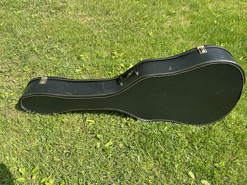 Acoustic Guitar Case | Reverb