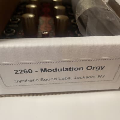 Synthetic Sound Labs Modulation Orgy - Model 2260 | Reverb