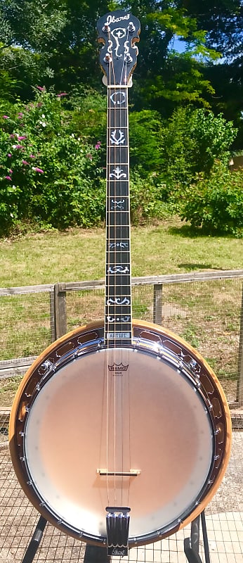 Ibanez Artist Tenor Banjo | Reverb