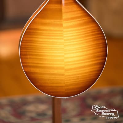 Bulas Carpathian Spruce/Curly Maple Black Top A-Style | Reverb