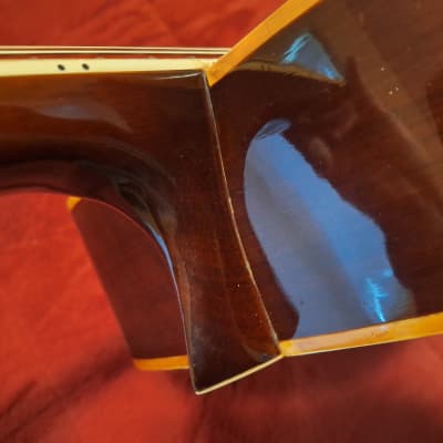 Ventura Bruno V-17 12 String Acoustic Dreadnought Guitar | Reverb