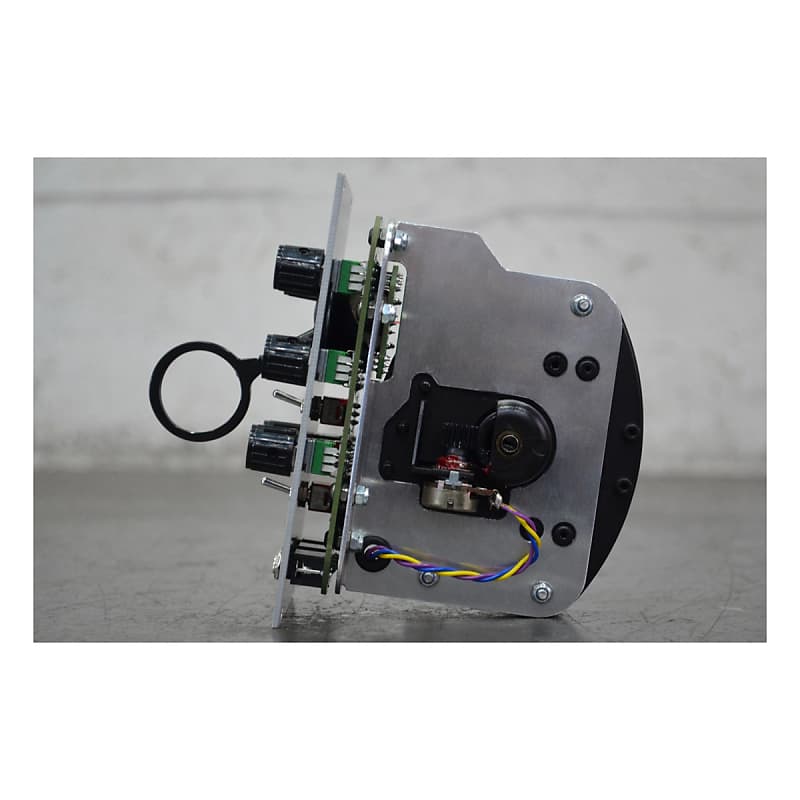 Nervous Squirrel String Thing Eurorack Performance | Reverb UK