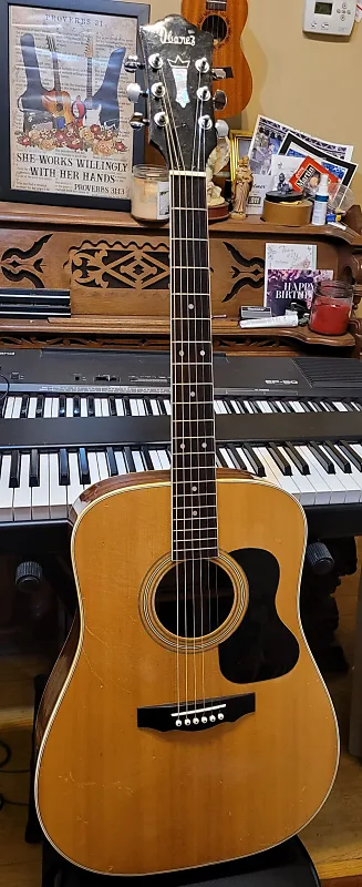 Ibanez 2846 1976 Vintage Acoustic Electric Dreadnought Guitar | Reverb