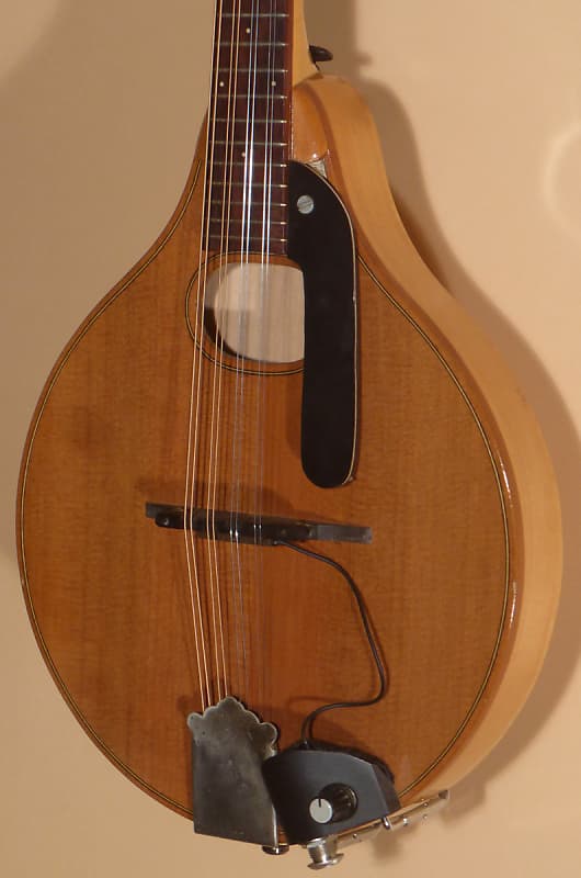 2010 Morris A Model Mandolin | Reverb