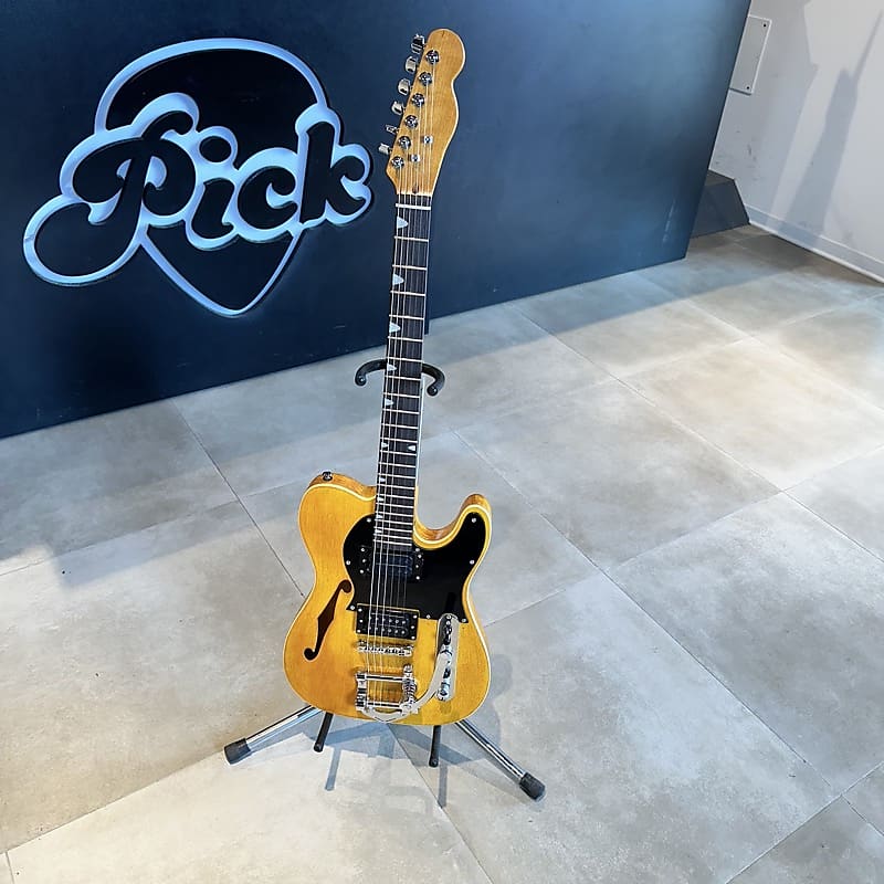 No Brand Tele Kit Telecaster Thinline | Reverb