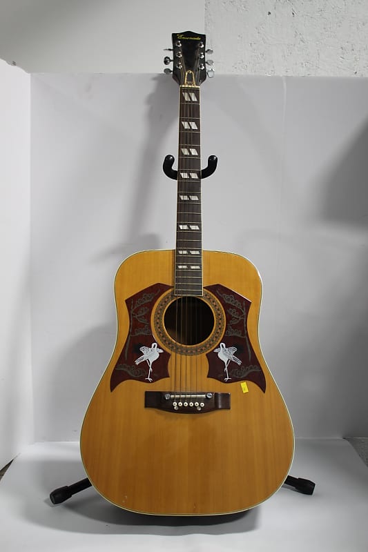 Ensenada WG66 Acoustic Guitar | Reverb