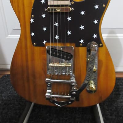 ~Cashner~ TeleCaster-Style w/Whammy Bar | Reverb