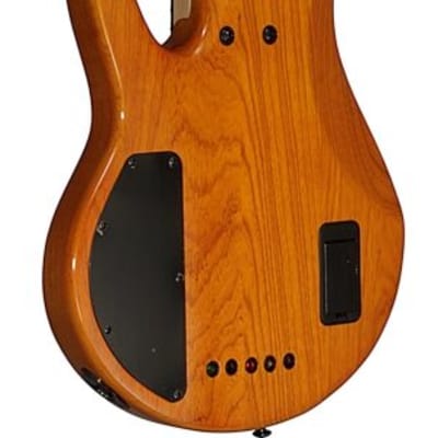 Michael Kelly Pinnacle 5-String Bass Electric Bass Guitar | Reverb