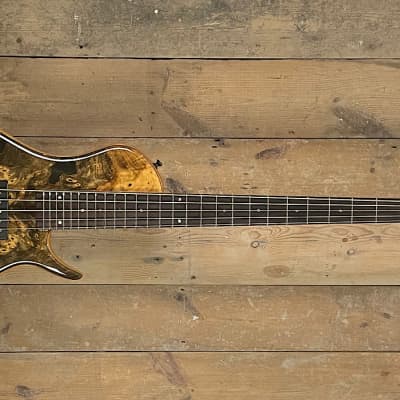 Shuker Single Cut 5 | Reverb