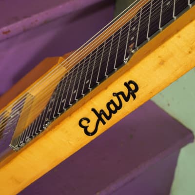 1960 National Eddie Alkire Eharp 10-String Lap Steel | Reverb Canada
