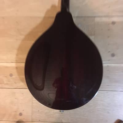 Hohner Acoustic/Electric Mandolin 2010s Sunburst | Reverb