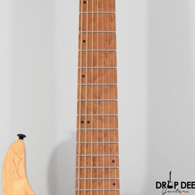 Cerberus Erebus 7-String Electric Guitar w/ Bag - Satin Hades | Reverb