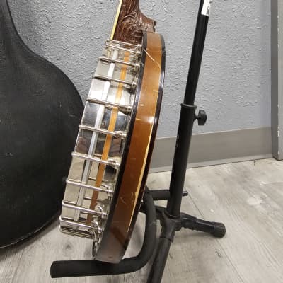 VEGAPHONE PRO 20'S PLECTRUM | Reverb