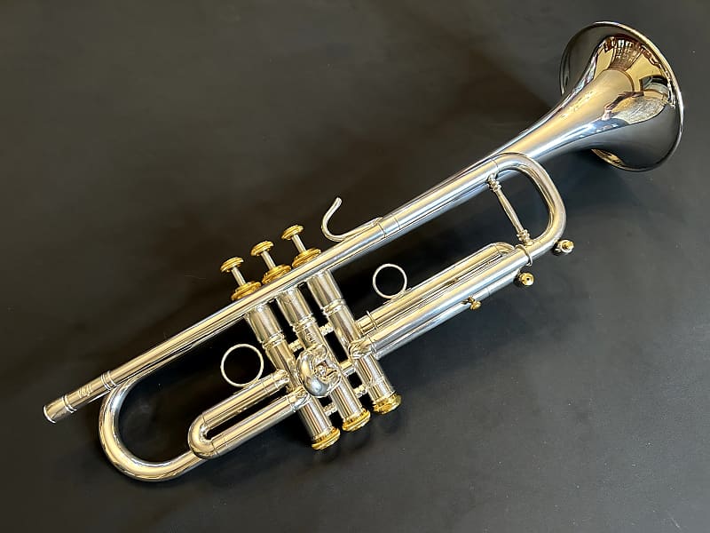 Stomvi VRII Trumpet - Silver with Gold Trim | Reverb