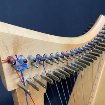 Triplett Orion Zephyr 22-String Lap Harp (used) | Reverb