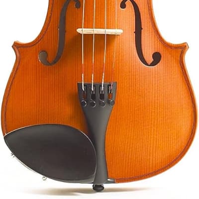 Stentor, 4-String Violin (1560A) | Reverb