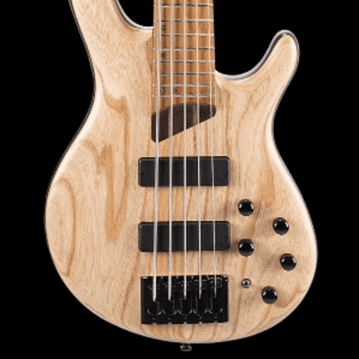 Cort Artisan Series A6 6-String Electric Bass, Open Pore | Reverb