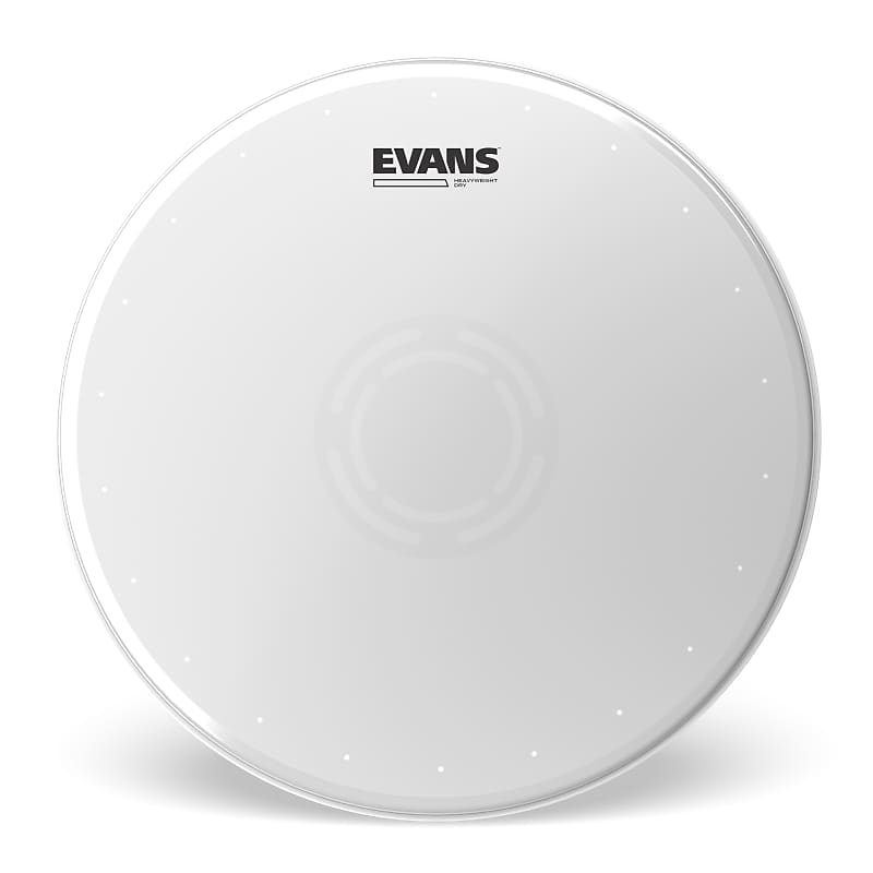 Evans Heavyweight Dry Coated 14'' | Reverb