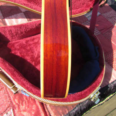 Beard Instruments Celtic mandolin #28 2010-2020 - Gloss | Reverb