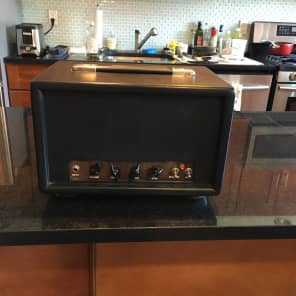 Alessandro Bluetick Tube Amplifier | Reverb