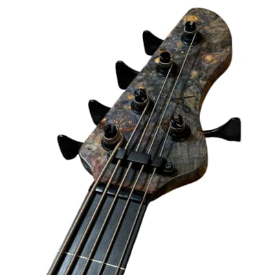 Alpher Instruments MAKO ELITE FRETLESS 2017 - NATURAL OIL | Reverb
