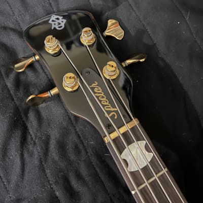 Spector Euro 4 LX DW 2022 Amber Gloss | Reverb