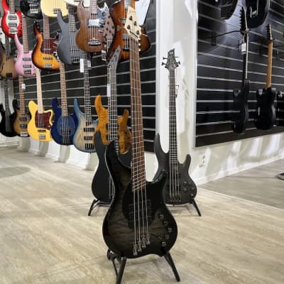Dingwall Combustion 4-string Bass | Reverb