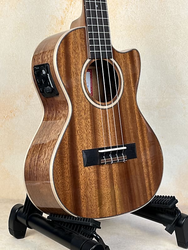 Kala KA-SMH-TG-CE 2023 - Gloss | Reverb