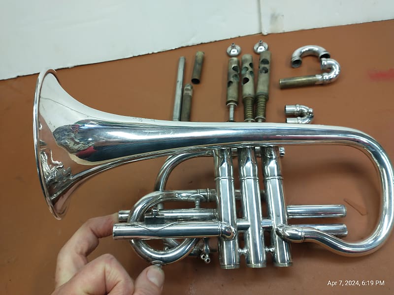 R. De Lacy 84 Holland Road 1880-1908 - Silver Cornet | Reverb