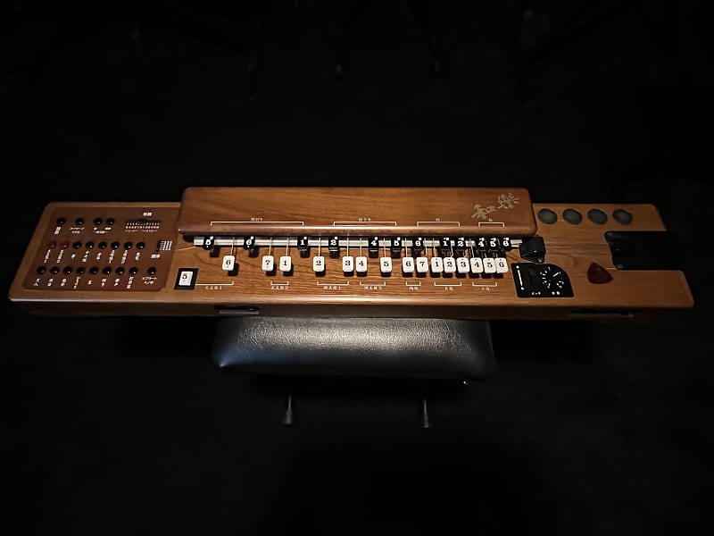 Suzuki TES-101 Japanese Koto Synth *RARE* | Reverb
