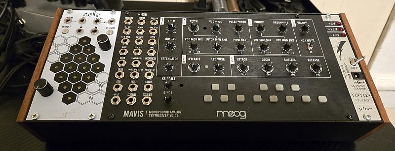 Moog Mavis Bundle | Reverb