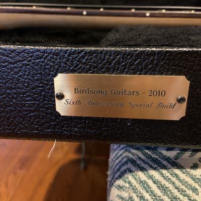 Birdsong Skyrider - anniversary special build | Reverb