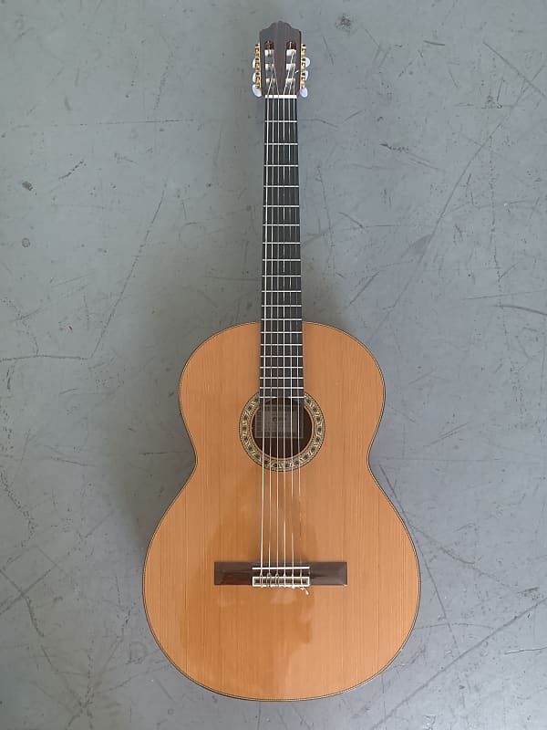 Esteve PS75 Contrabass Guitar | Reverb