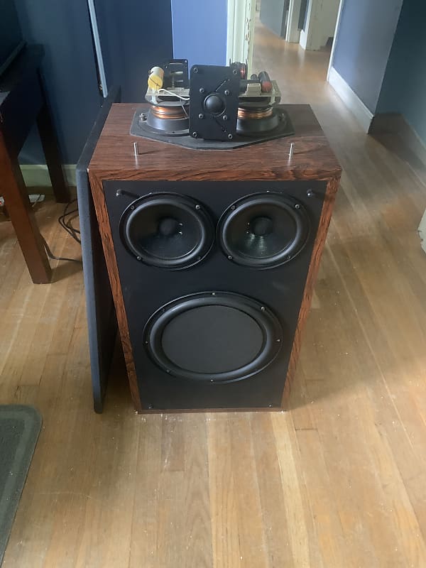 Polk RTA-12 1982 - Rosewood (vinyl) | Reverb