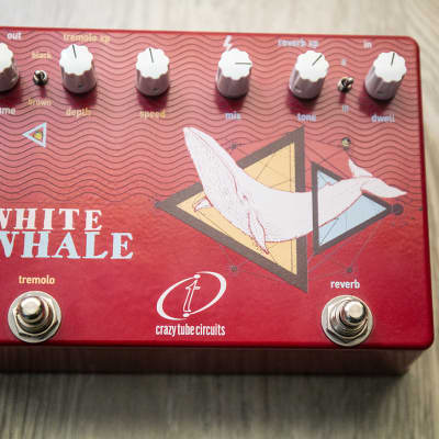 Benidub Spring Amp II - Sping Reverb Amplifier | Reverb UK