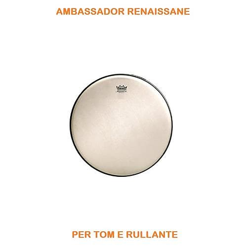 Remo Ambassador Renaissance Pelle Battente 12" Ra-0012-Ss | Reverb