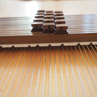 Custom Orthey Autoharp | Reverb