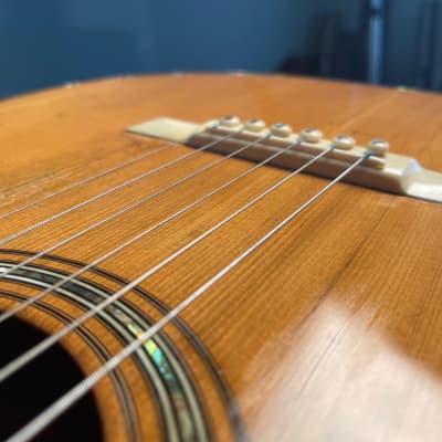 Martin 00-42 1891 Clear French polish shellac | Reverb