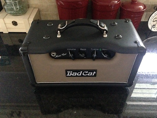 Bad Cat Mini Cat | Reverb