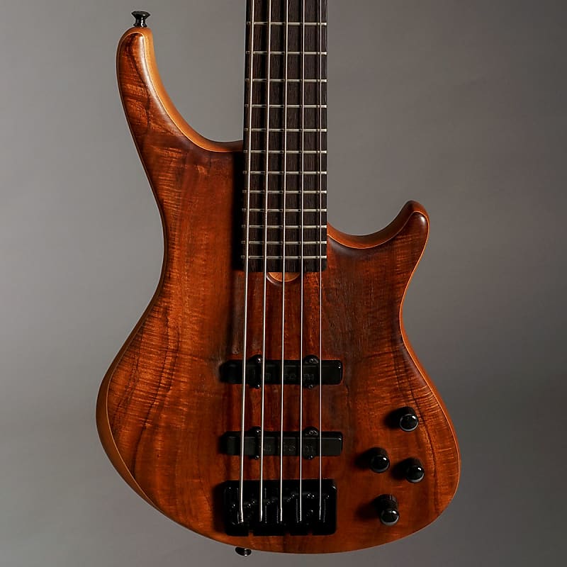 Roscoe SKB Standard Plus 5 | Reverb