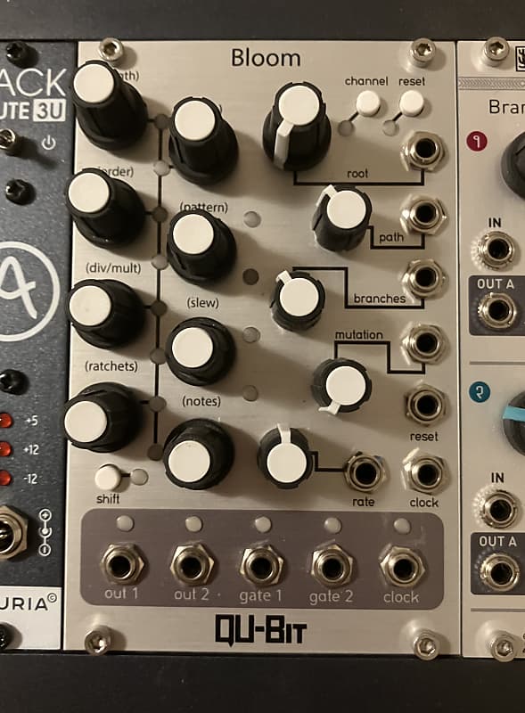 Qu-Bit Bloom | Reverb