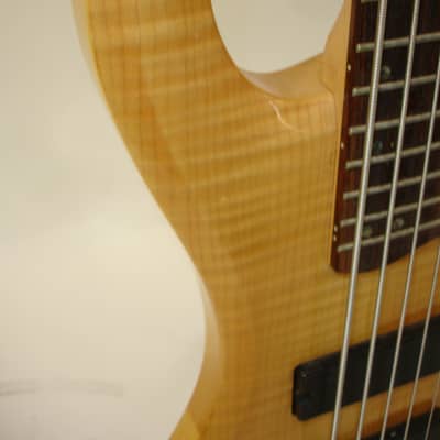 Traben AP-5 Array Premium 5-String Bass Guitar, Natural | Reverb