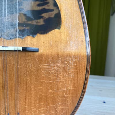 Stridente - Neapolitan Mandolin made in Italy 1900 | Reverb