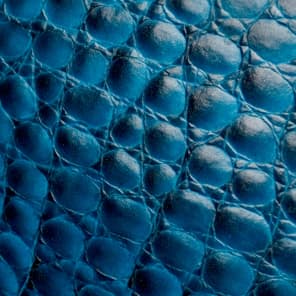 Soldano Surf Box #36 of 100 | Reverb