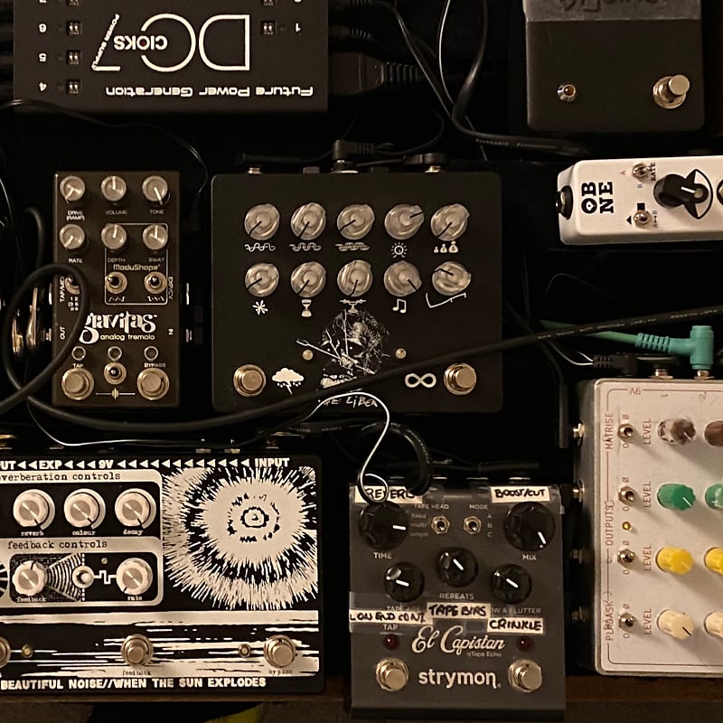 Fowl Sounds The Lifer V1 | Reverb