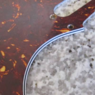 Fender Stratocaster 1970's - Tortoise Shell | Reverb