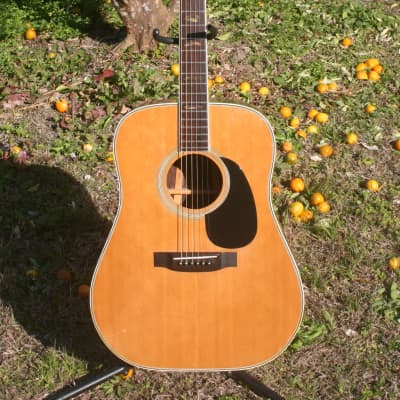 Yamaki 150 Solid Top and Solid Back D35 Japan Vintage Guitar | Reverb